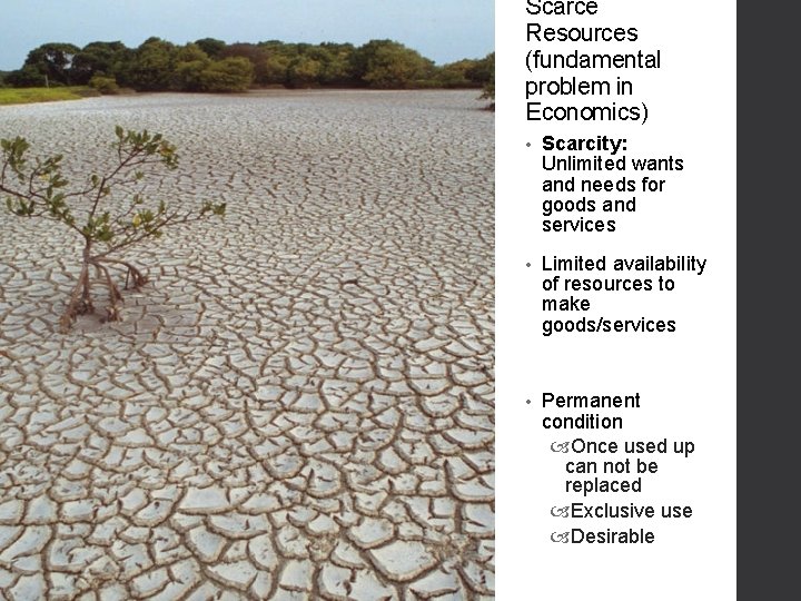 Fundamentals of Economics Outline of Unit I Basic
