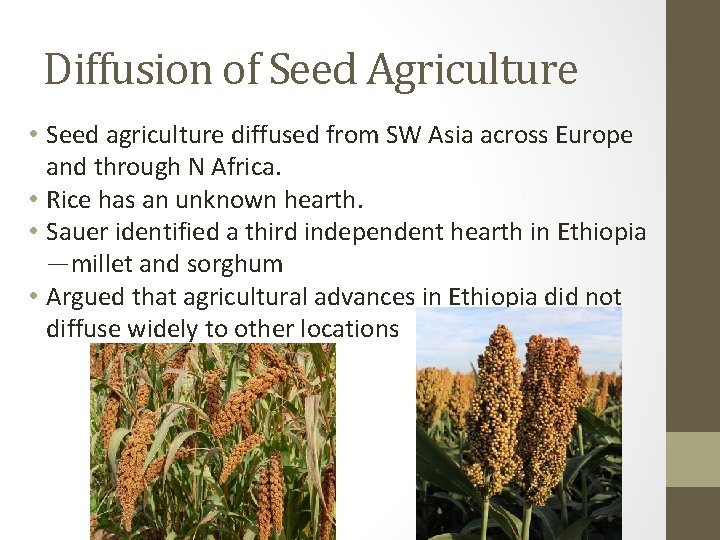 Agriculture Deliberate modification of Earths surface through cultivation