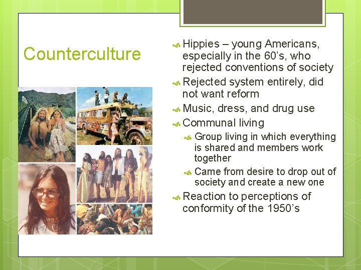 Rebellion Reaction and Politics 1960s 70s Student Movement