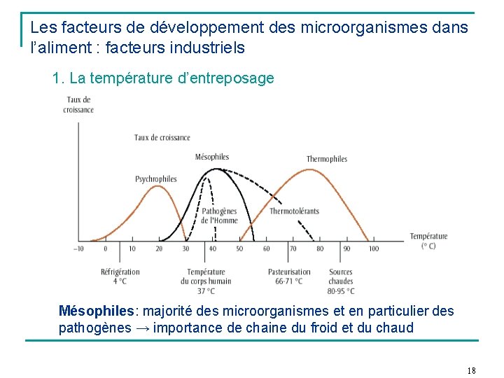 Introduction la microbiologie alimentaire 1 Les microorganismes Eucaryote