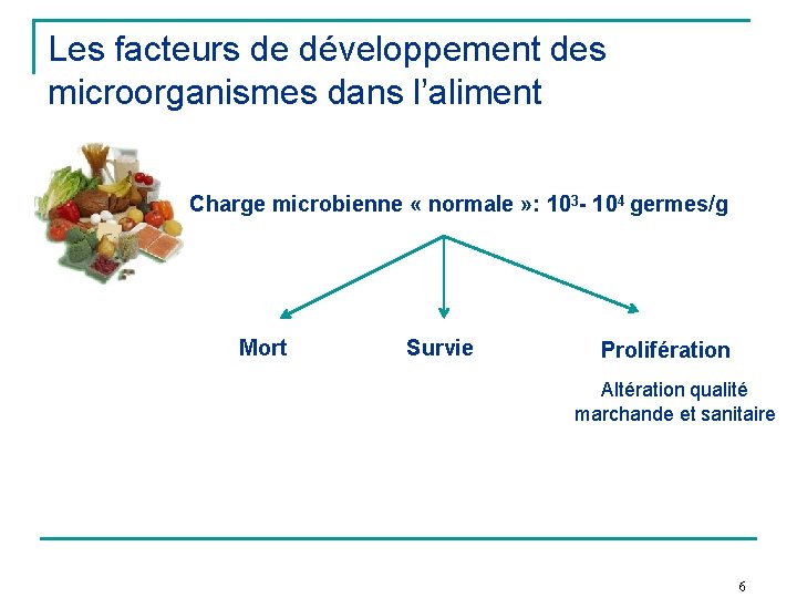 Introduction la microbiologie alimentaire 1 Les microorganismes Eucaryote