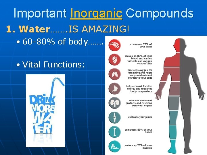 Biochemistry Essentials for Life n Organic vs Inorganic
