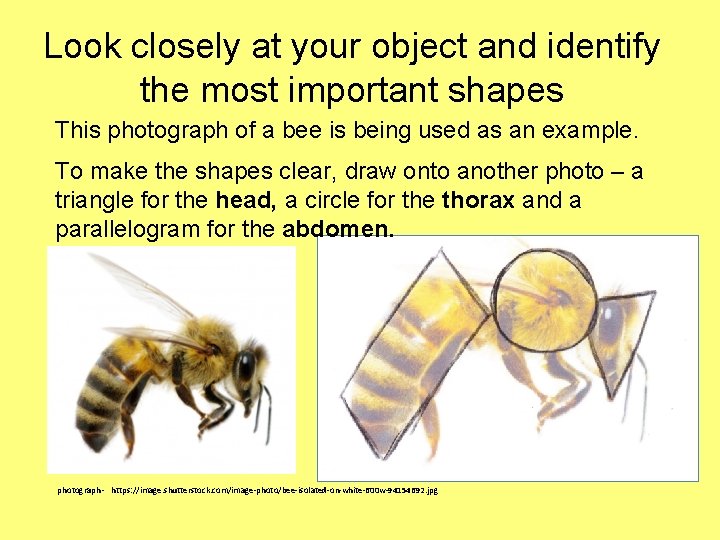 BUILDING A DRAWING STEP BY STEP Demonstration Drawing