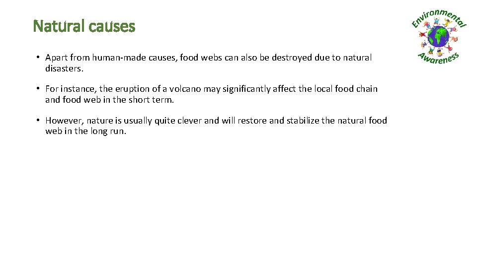 Food Web Disruption What is a food web