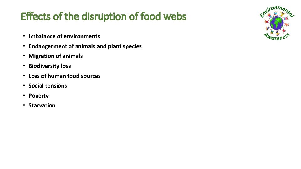 Food Web Disruption What is a food web