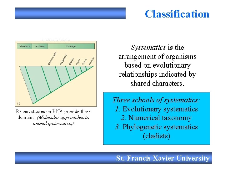 Biology 201 Dr Edwin De Mont Animal Classification