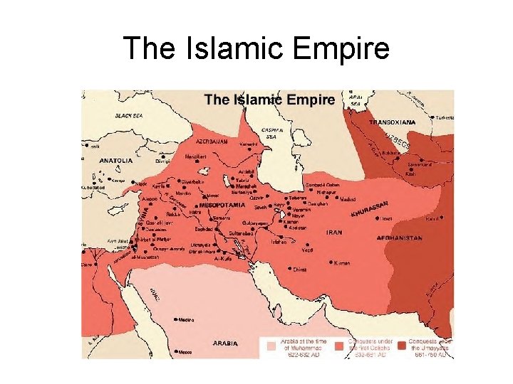 Umayyads and Abbasids The Umayyad Period The Rise