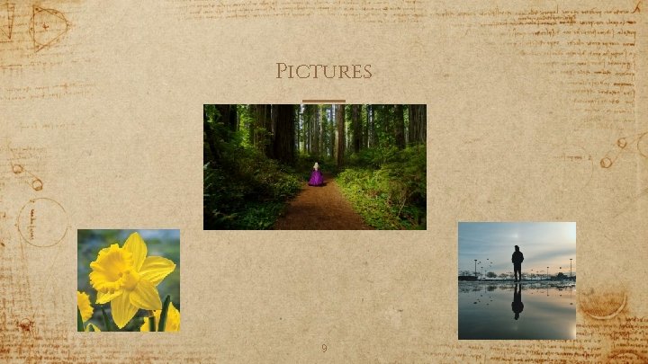 Echo and Narcissus A Roman Mythology BY ariana