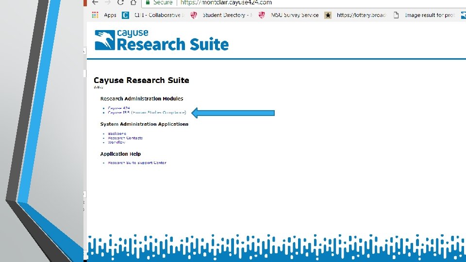 Cayuse IRB Initial Training Completing your initial submission