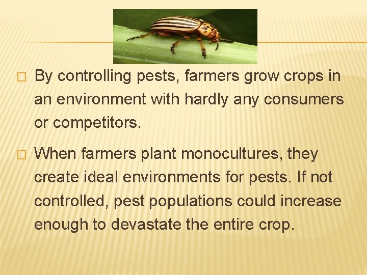 Grade 9 Science PESTS AND PESTICIDES BIOACCUMULATION PESTS