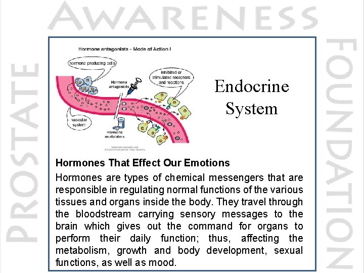 Positive Emotional State Presented by the Prostate Awareness