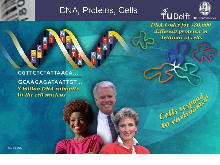 Databases and Data Mining Lecture 1 Introduction to