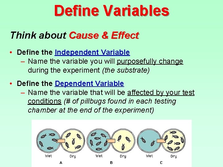 Designing a Research Project Define the Problem A