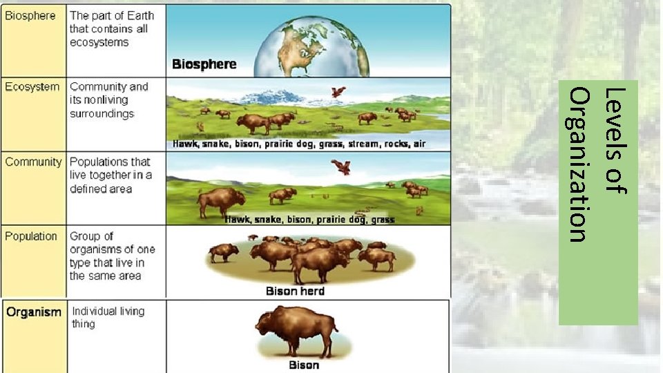 Ecology Biome POGIL INTERACTIVEQuickwrite What is Biodiversity The
