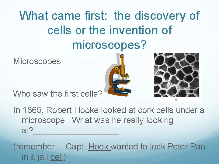Cells History Structure and Function Unit 5 Observation