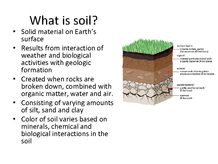 The Importance of Soil Valuable natural resource Humans