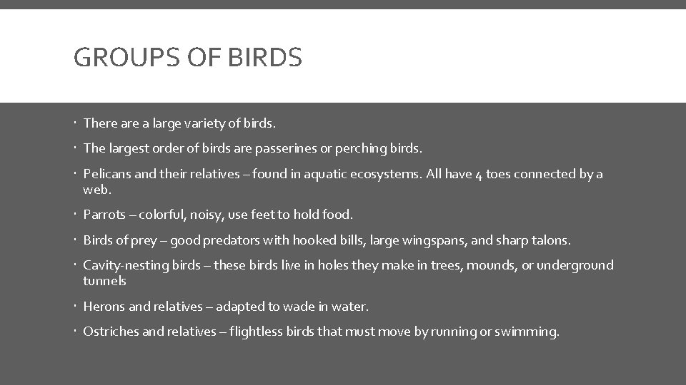 BIRDS WHAT IS A BIRD Birds can maintain