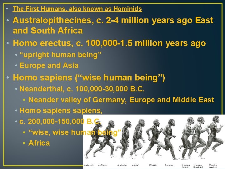 Bell Work Notes Neolithic Revolution 9214 How did