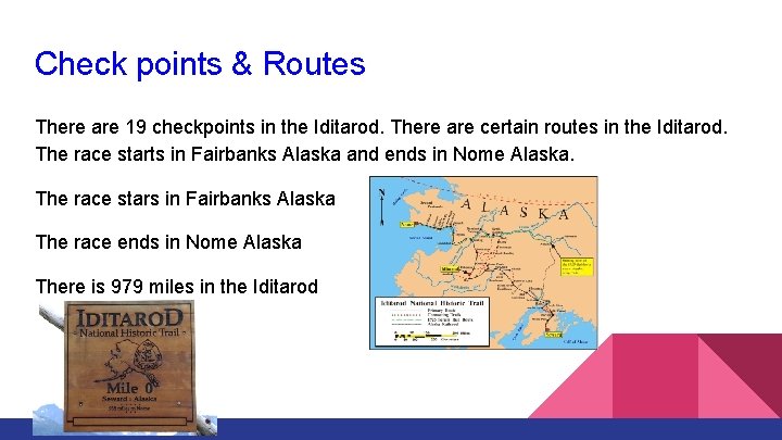 Iditarod By Amanda I INTRODUCTION The Iditarod started