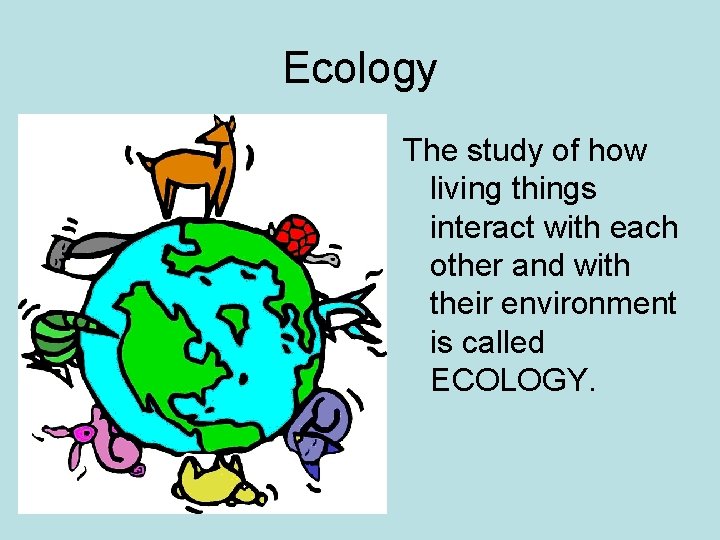 Chapter 31 Ecosystems and Biomes 31 1 Ecosystems