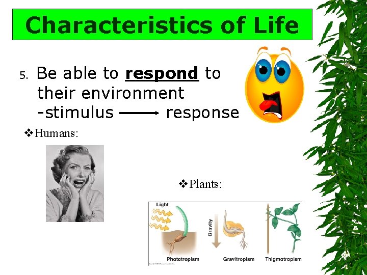 BiologyWhat is it Biology is the study of