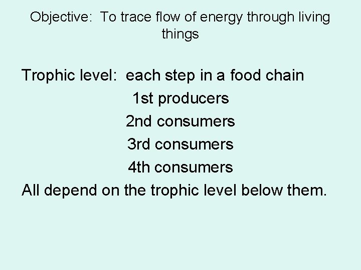 Ecology Energy Flow Objective To trace flow of