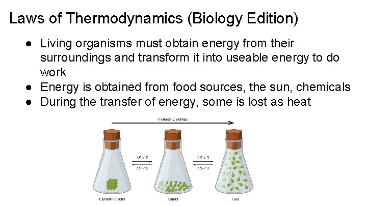 Metabolism Energy and Enzymes Just 10 000 years