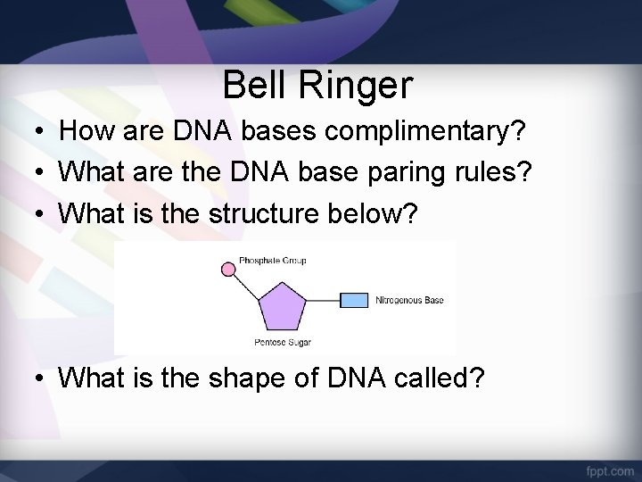 The Structure of DNA Deoxyribonucleic Acid DNA Video