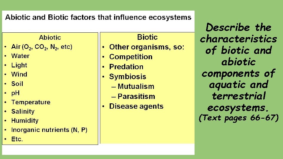 Ecology https www youtube comwatch vj ORLckfz D