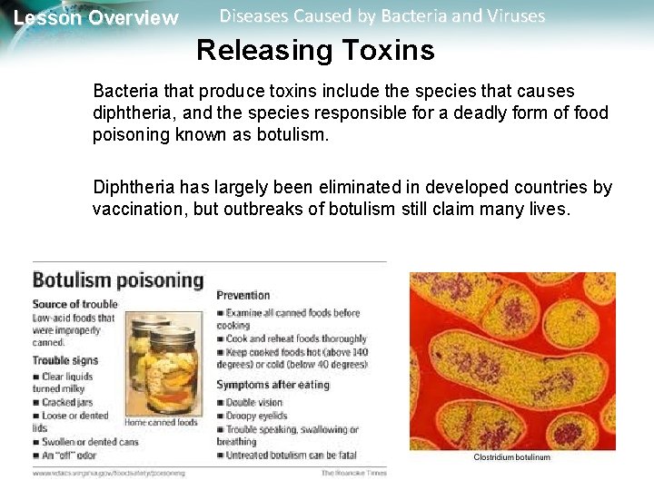 Lesson Overview Diseases Caused by Bacteria and Viruses
