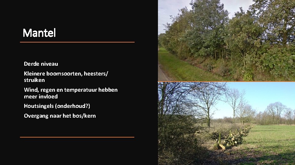 Werk in Tuin Landschap Soorten beplanting 1 Tuinplanten