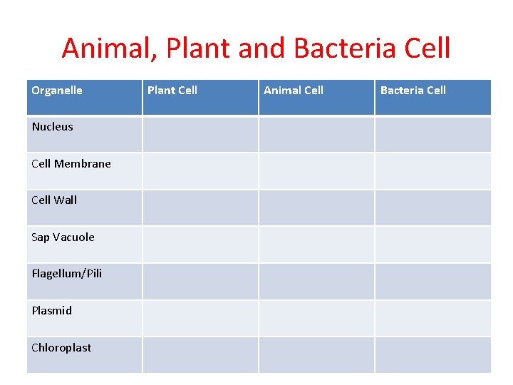 Additional Biology Smart Teach 2 Cells Animal Plant