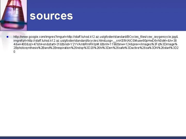 Biochemistry Cell unit Why Study think Mrs Morgan