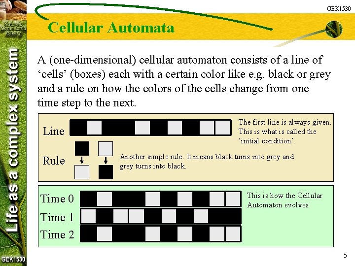 Cellular Automata What could be the simplest systems