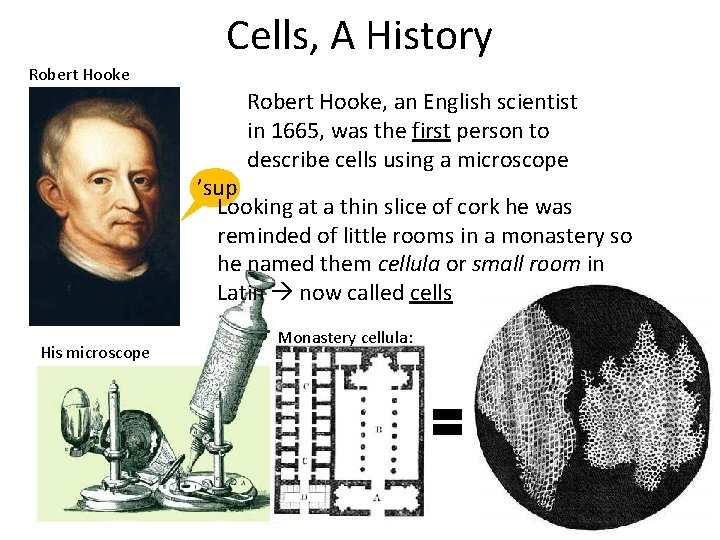 Cells Cells A History Robert Hooke an English
