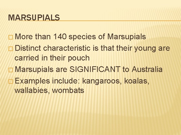 AUSTRALIAN WILDLIFE WILDLIFE FACTS More than 828 birds