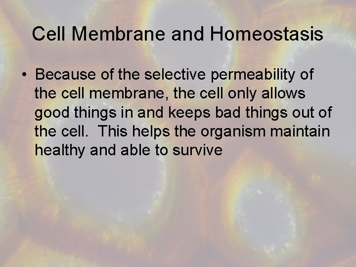 The Cell Membrane The Master of Homeostasis Terms