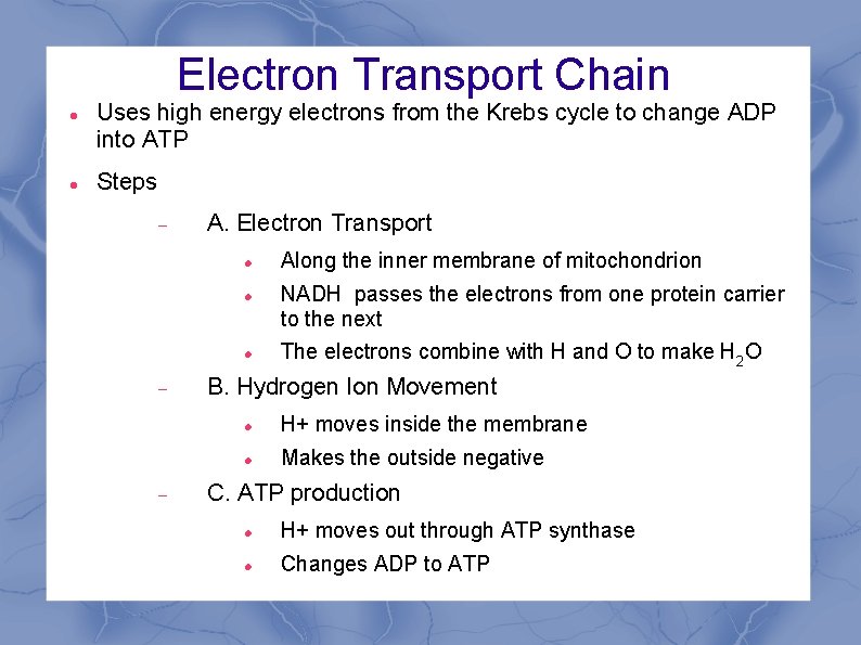 The Krebs Cycle Electron Transport AFTER GLYCOLYSIS 90