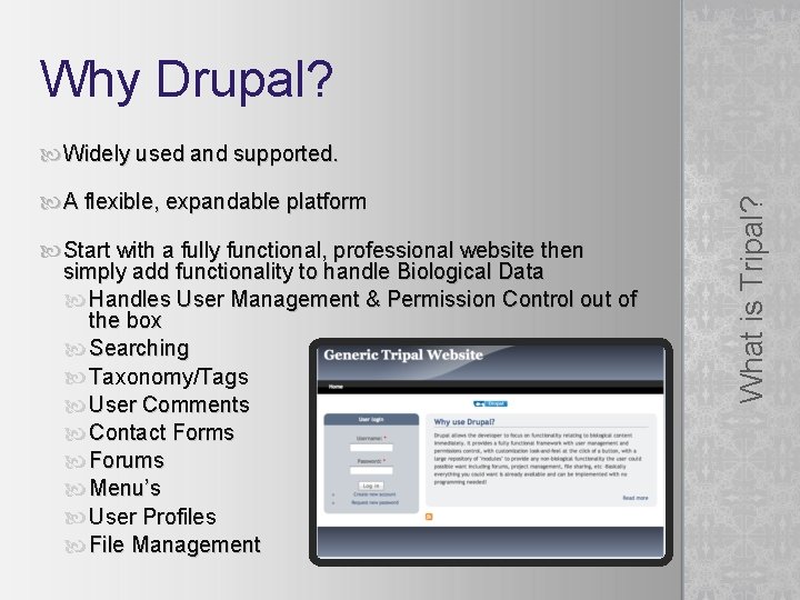 A Construction Toolkit For Online Biological Databases LaceyAnne