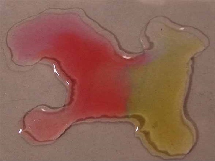 Conocer las caractersticas de los indicadores cido base