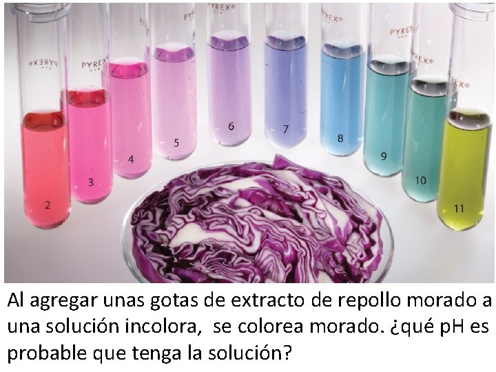 Conocer las caractersticas de los indicadores cido base