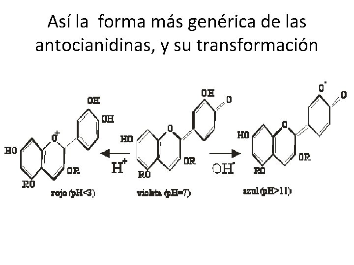 Conocer las caractersticas de los indicadores cido base