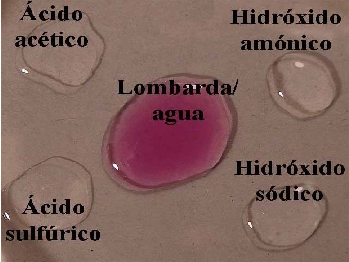 Conocer las caractersticas de los indicadores cido base