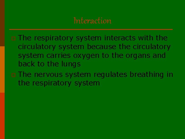 The Respiratory System By Kaitlyn Browne Ariel Velazquez