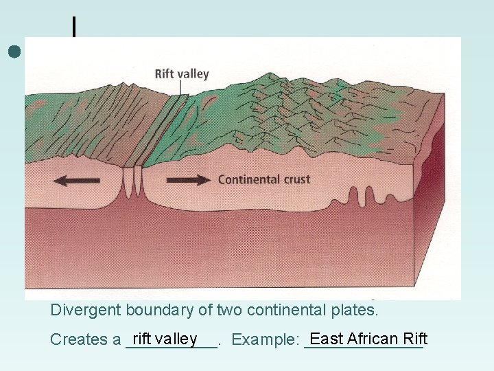 Continental Drift Chapter 10 Section 1 Objectives Summarize