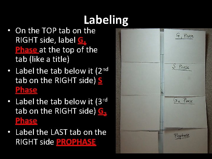 Instructions for Cell Cycle Foldable IMPORTANT Use your