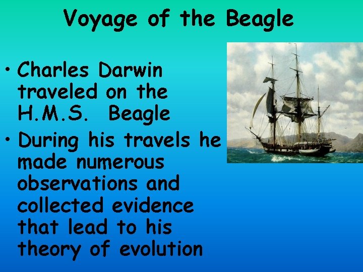 Evolution Biology Voyage of the Beagle Charles Darwin