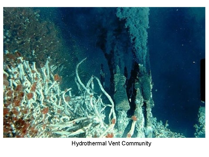 Anaerobic Respiration and Fermentation HelpNo Oxygen CATALYST C