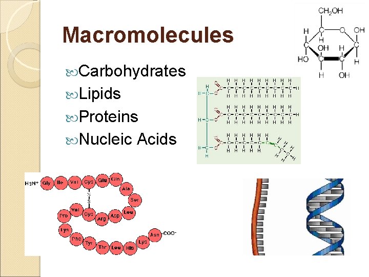 Biological Chemistry Macromolecules Large organic molecules Basic Structure