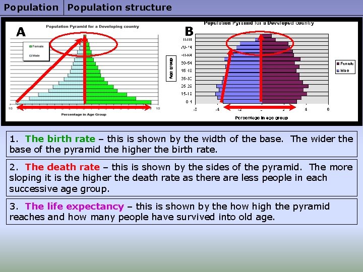 Population Describing population structure population structures vary with